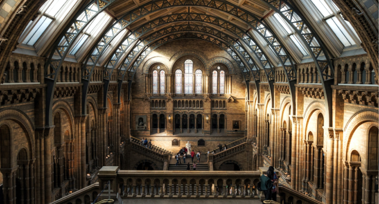 Juno | Empowering teams with flexible benefits